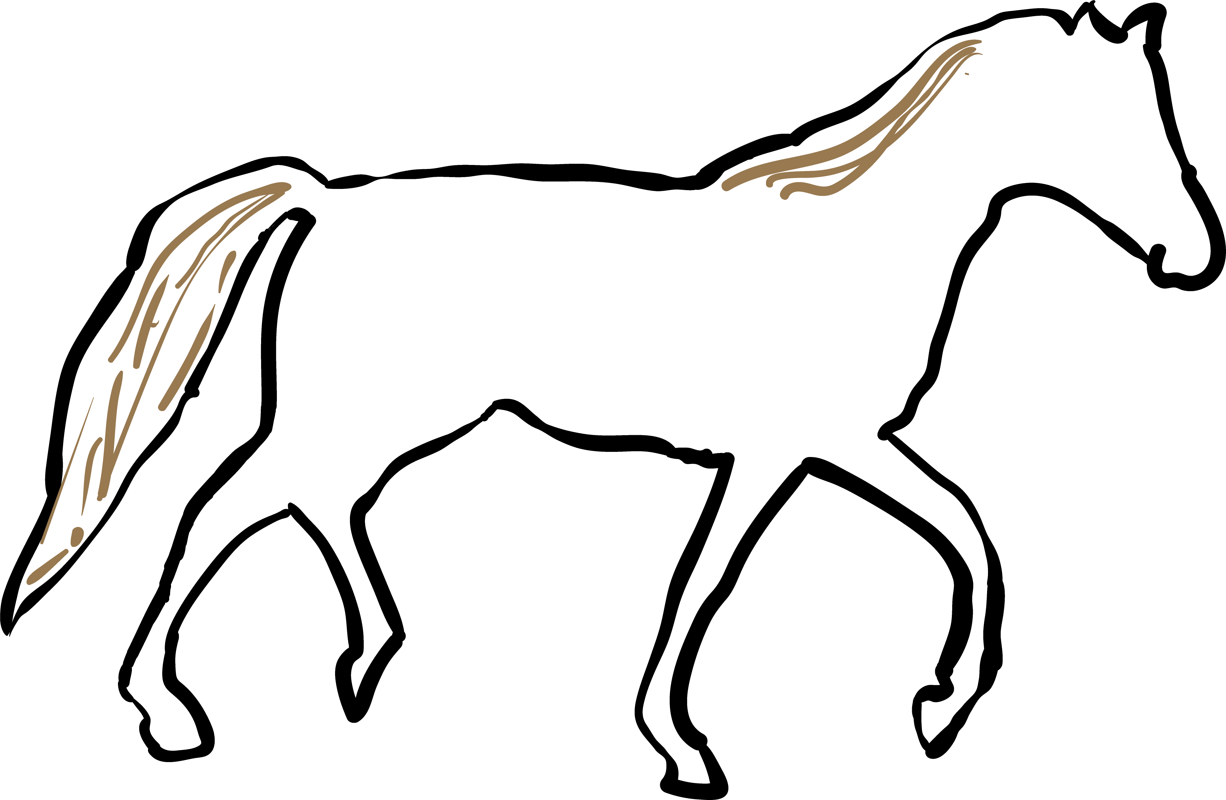 Walk Package - The Giddy Up Bar